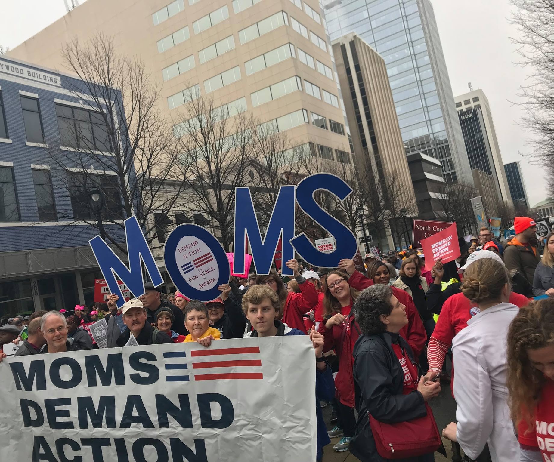 North Carolina - Gun Sense Voter