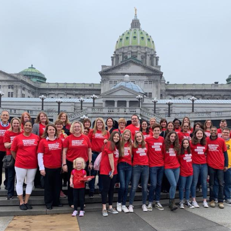 Pennsylvania - Gun Sense Voter