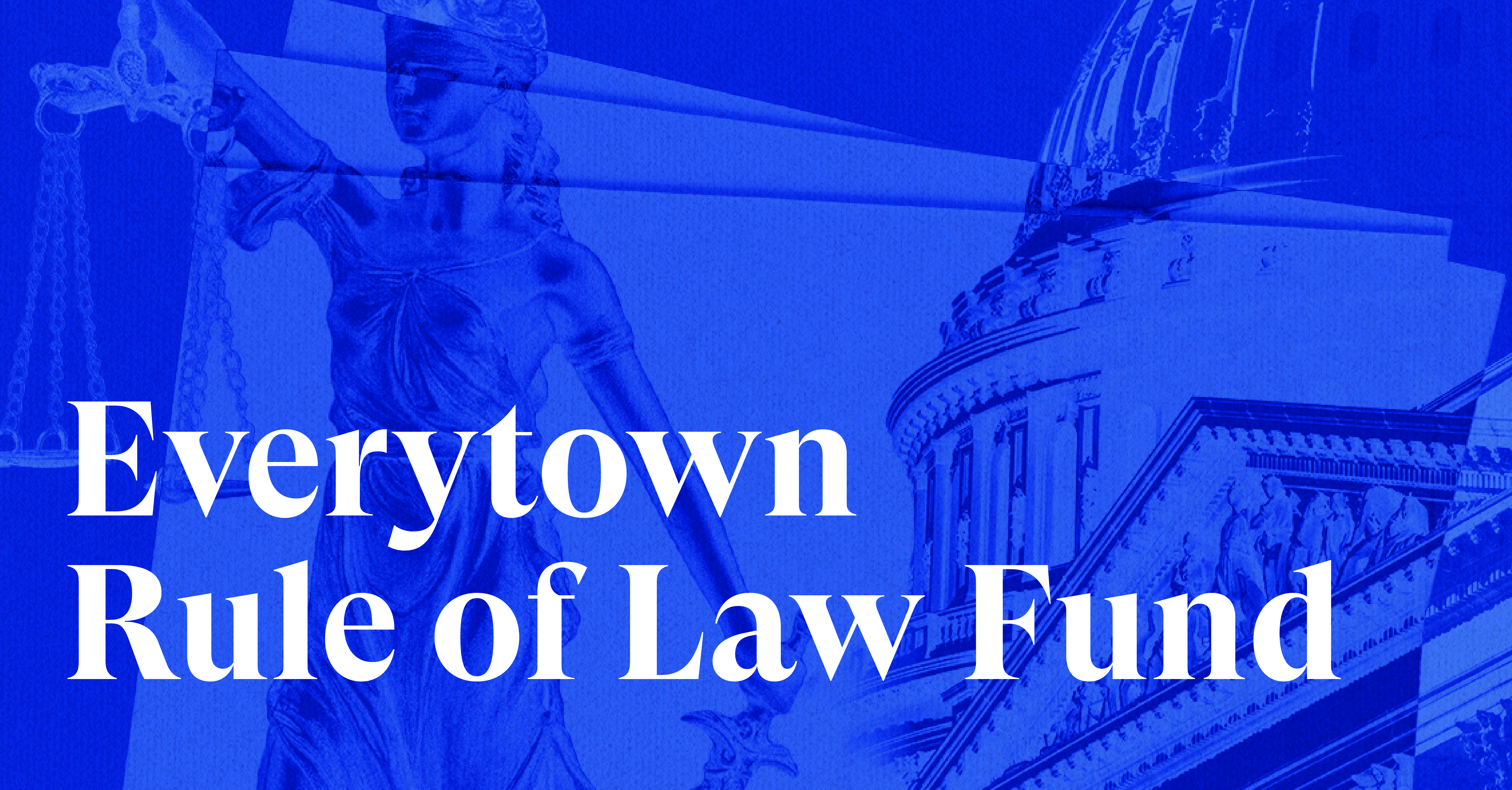 Everytown Rule of Law Fund - Gun Sense Voter